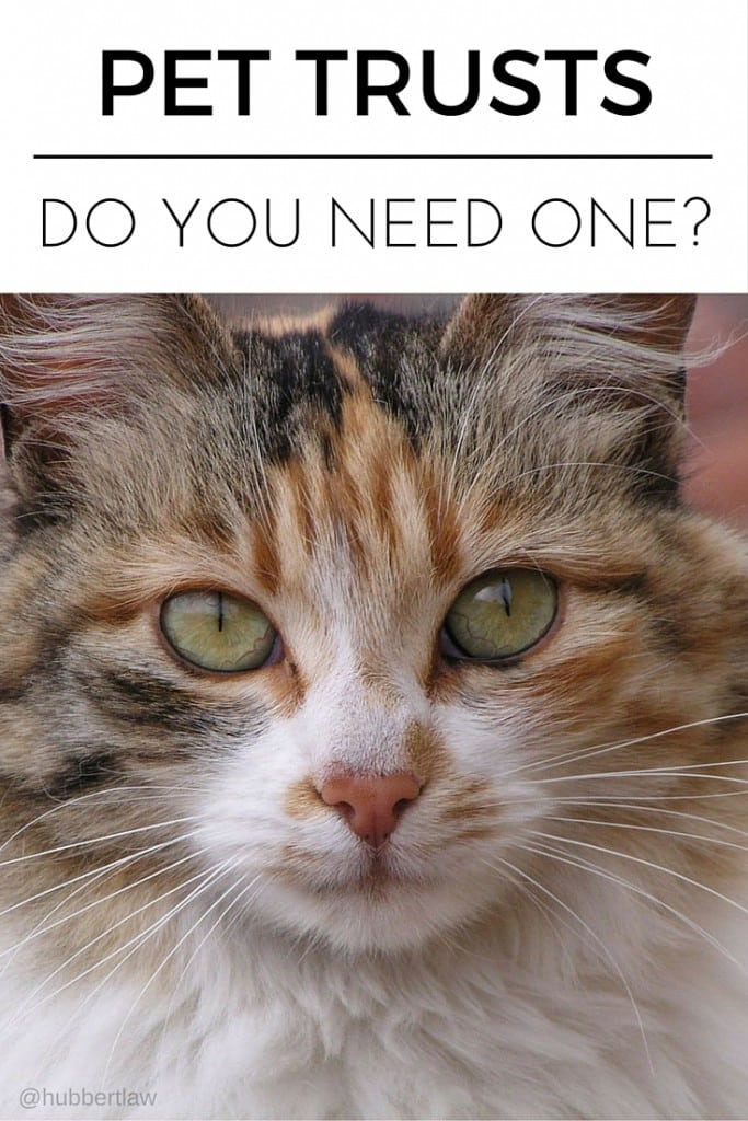 Michigan Pet Trusts | James Hubbert | Bloomfield Hills, MI