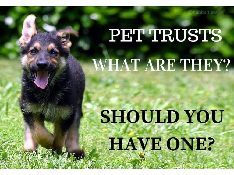 Michigan Pet Trusts | James Hubbert | Bloomfield Hills, MI